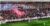 Fanii lui Dinamo, siguri că favoriții vor câștiga derby-ul cu FCSB!
